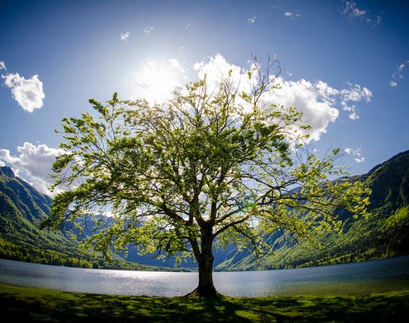 New life stock photo. Image of people, tourism, valley - 43710422