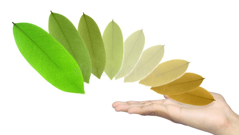 The new liveliness. stock illustration. Illustration of hand - 21649830