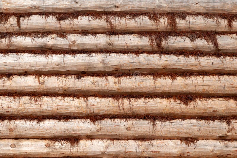 New Log Wall with Brown Moss Stock Image - Image of house, hards: 313982557