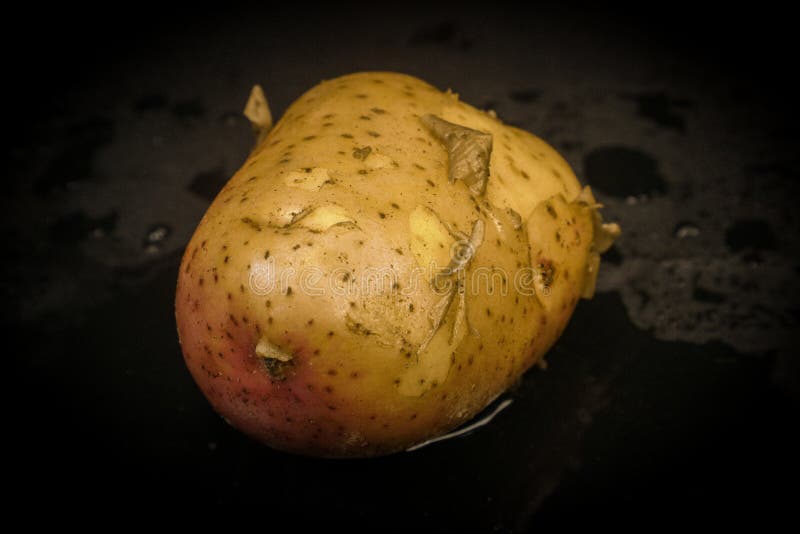 New long potatoes stock image. Image of green, cuisine - 267482383