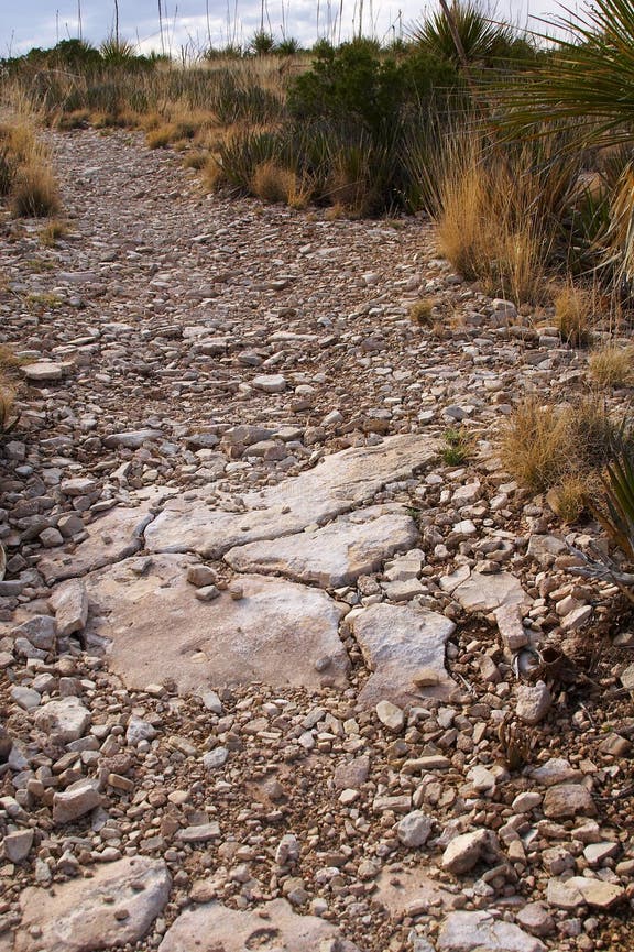 New México imagen de archivo. Imagen de gato, serenidad - 2233597