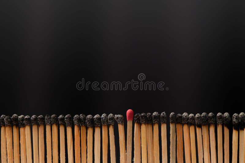 A New Match among Burnt Matches on Dark Background. Individuality and ...