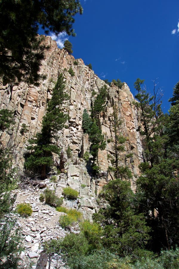 New Mexico Canyon Cliff stock image. Image of pine, bordered - 78267771