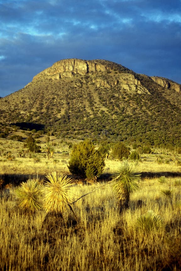 694 Southern New Mexico Desert Stock Photos - Free & Royalty-Free Stock ...