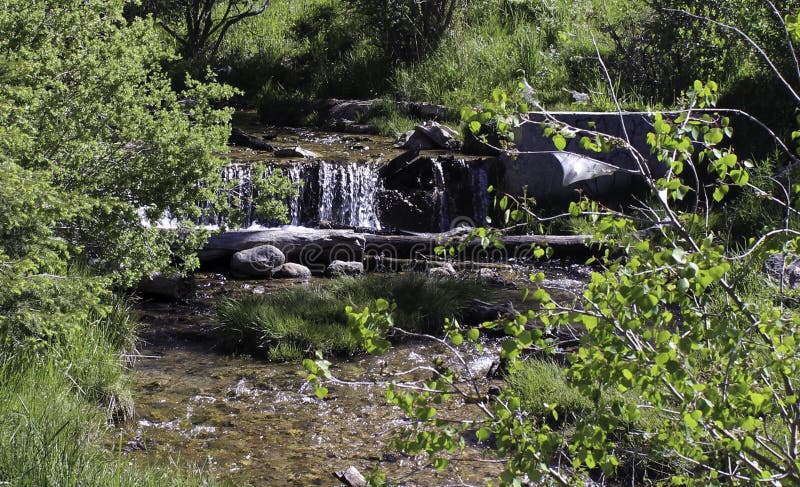 New Mexico Spring Water stock photo. Image of spring - 187323154