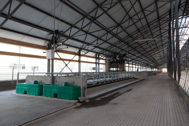 New Modern Dairy Farm before Bringing in Cows Stock Photo - Image of ...