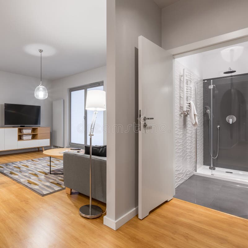 New, Modern Flat Interior in White Stock Photo - Image of comfortable ...