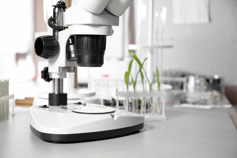 New Modern Microscope in Laboratory Stock Image - Image of equipment ...