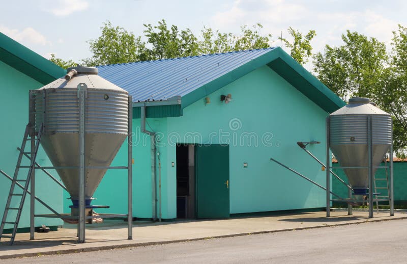 New modern pig farm stock photo. Image of barn, industrial - 19487388