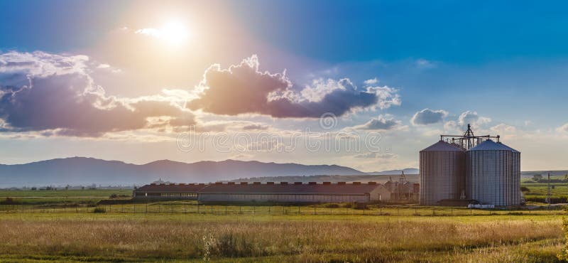 New modern pig farm stock photo. Image of outside, structure - 121127064