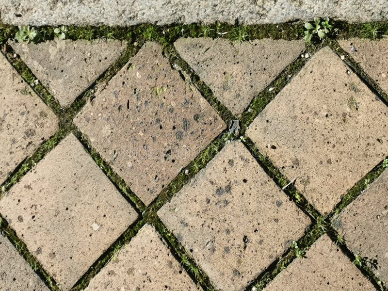 New Modern Square Pavement. Cobblestone Pavement Texture and Abstract ...