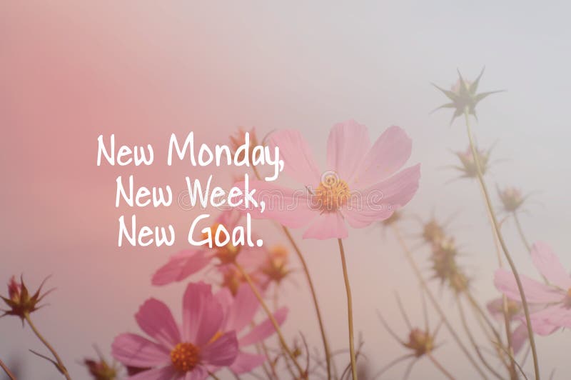New Monday, New Week, New Goal Stock Image - Image of flower, blossom ...