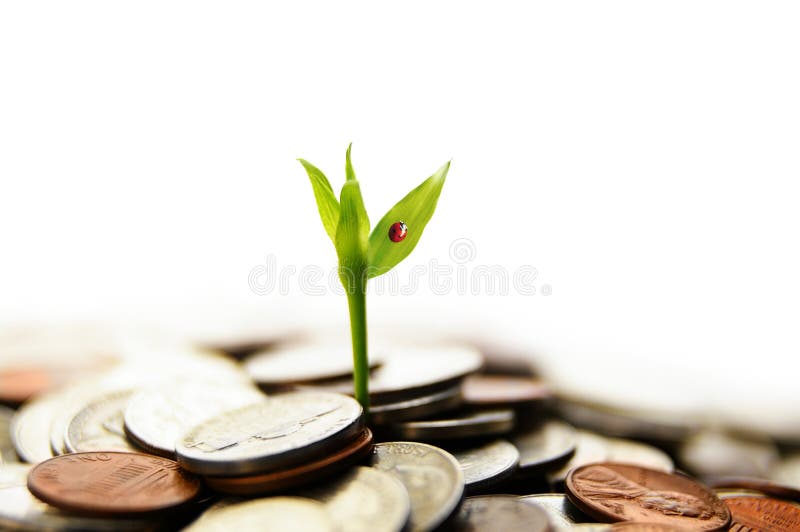 New money growth stock image. Image of earning, savings - 16350813
