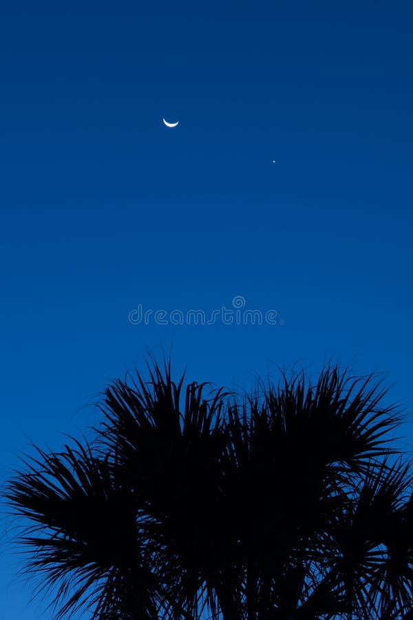 New Moon in the morning stock photo. Image of morning - 193546676