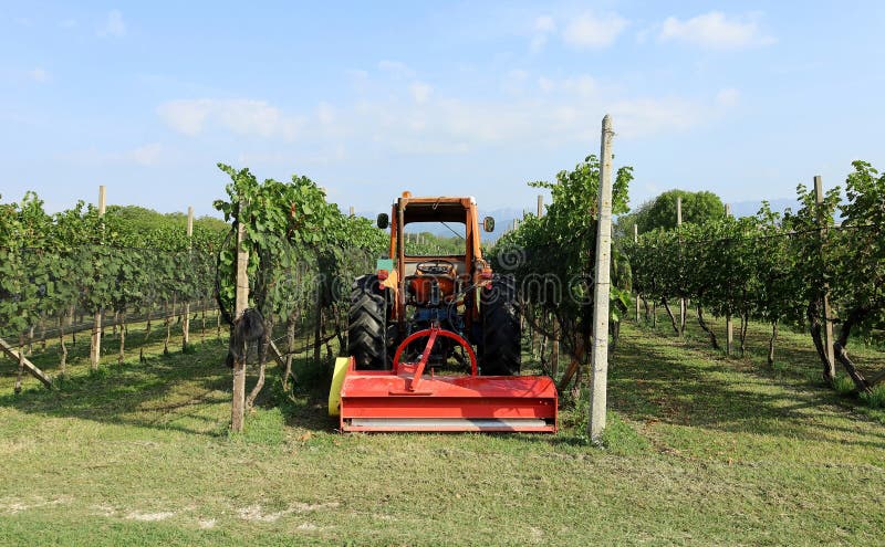 New Mowing Grass Machine Towed by an Old Tractor at the Beginning of of ...