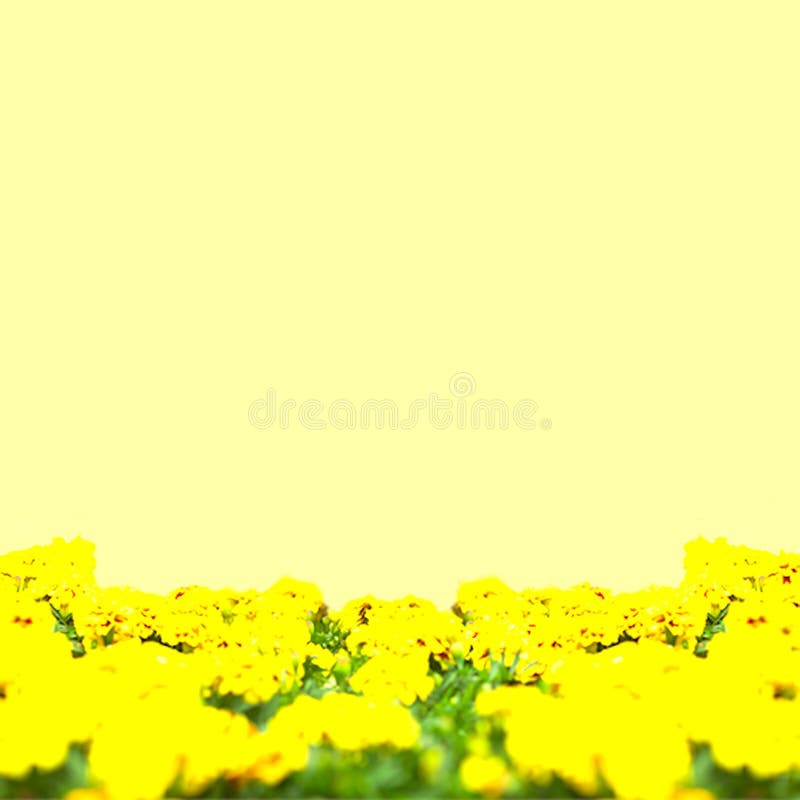 New. Notes stock image. Image of design, newnotes, notes - 315201291