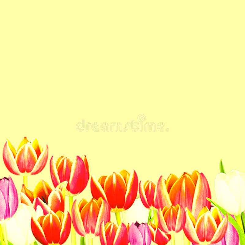 New. Notes stock photo. Image of paper, note, yellow - 315201296