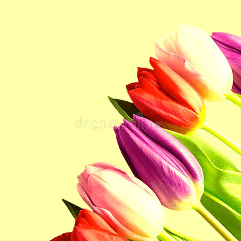 New. Notes stock image. Image of yellow, design, notes - 315201301