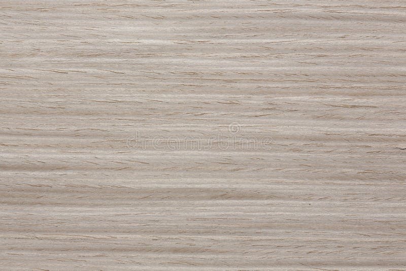 New Oak Veneer Background in Excellent Light Colour. Stock Image ...