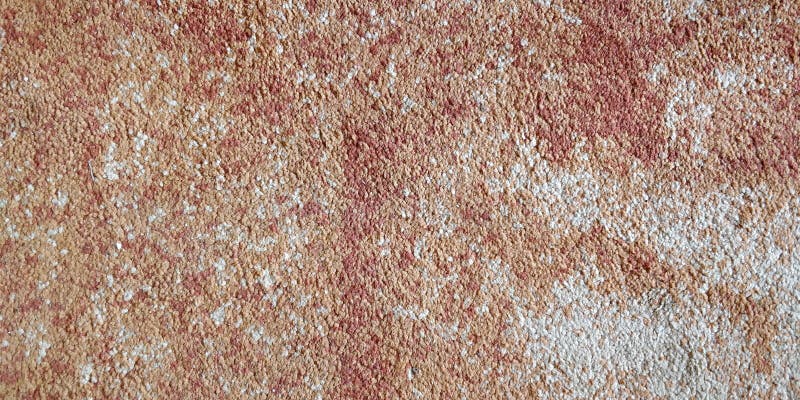 New Orange Carpet stock photo. Image of carpet, effect - 143480460