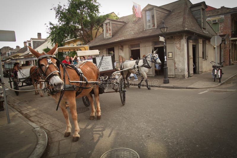 New Orleans French Quarter stock photo. Image of quarter - 19260744