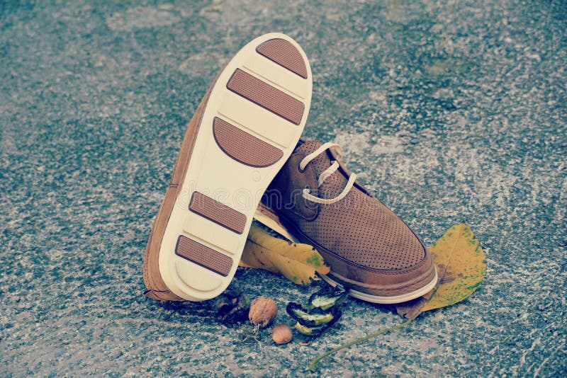 New Pair of a Brown Men Shoes Stock Image - Image of fashionable, color ...