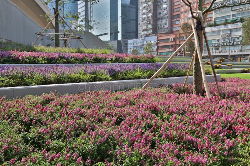 A New Park at Tsui Ping River Kwun Tong Stock Photo - Image of scenic ...