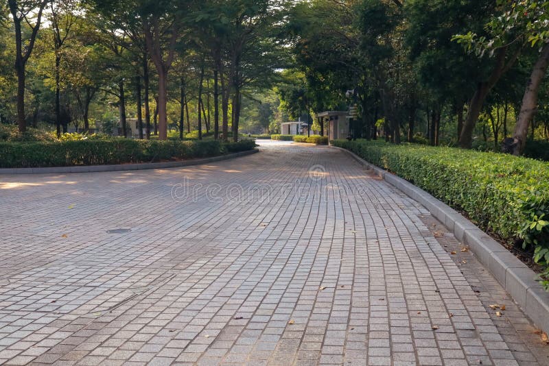 New Pathway and Beautiful Trees Track for Walking 13 Sept 2022 Stock ...