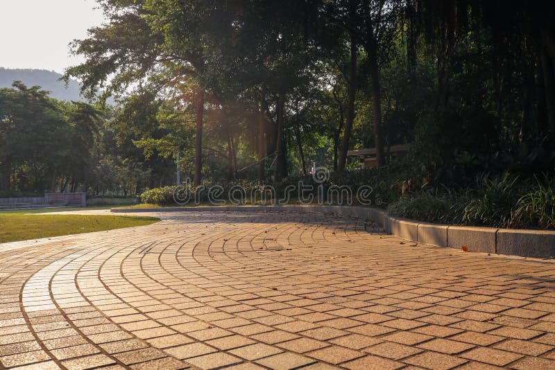 New Pathway and Beautiful Trees Track for Walking 13 Sept 2022 Stock ...