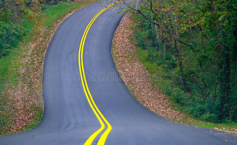 New Pavement through Forest Stock Image - Image of hill, route: 200237627