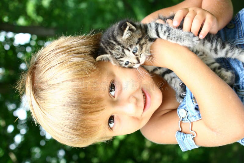 New pet stock image. Image of brown, kitten, baby, kitty - 2682523