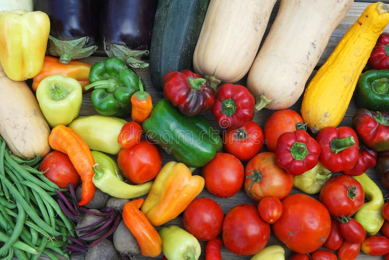 New Picked Fresh Vegetables Stock Image - Image of gourd, close: 67676271