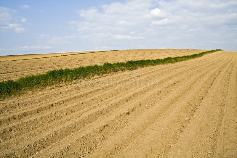 New Planted Field in Spring Stock Image - Image of planted, green: 30499705