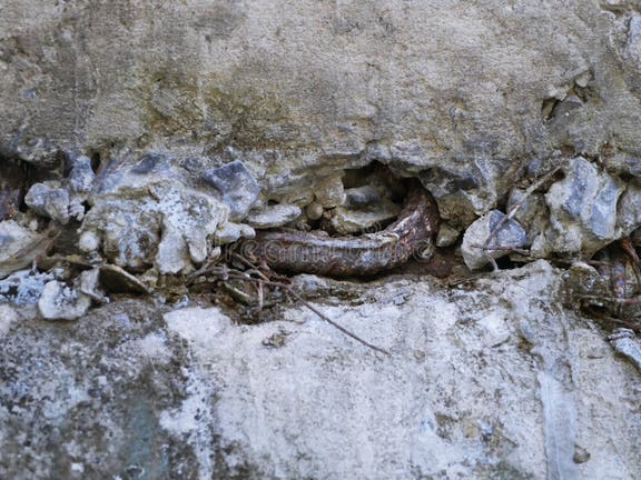 The New Plastered Wall Had a Mistake Stock Photo - Image of empty ...