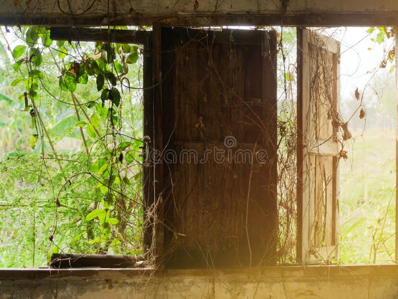 The New Plastered Wall Had a Mistake Stock Photo - Image of background ...