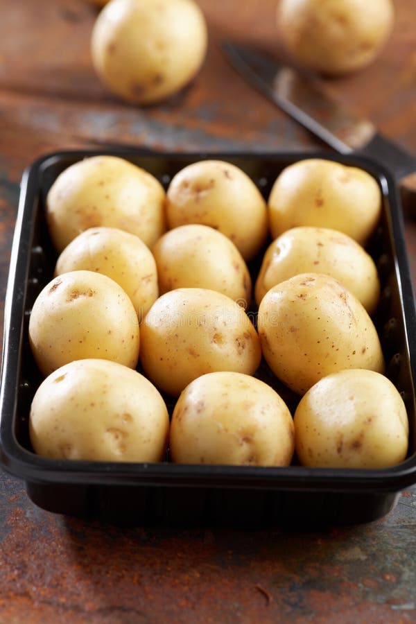 New potato in a container stock photo. Image of copyspace - 60370942