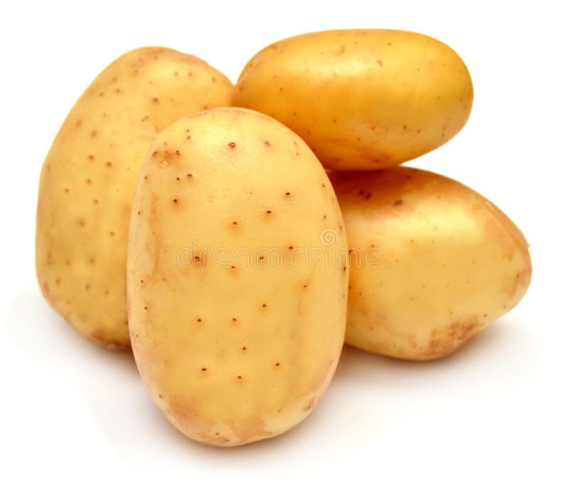New potato stock photo. Image of agriculture, healthy - 236092860