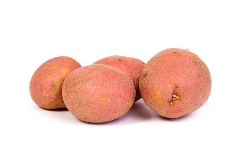 New potato stock photo. Image of bulbous, group, farming - 64837842