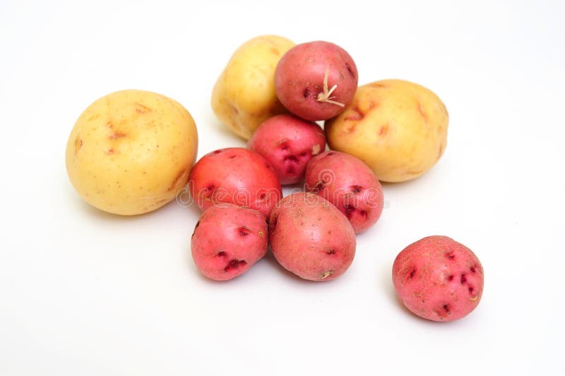 New Potatoes stock photo. Image of health, vegetable - 11129572