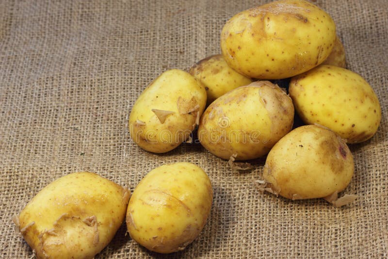New potatoes stock photo. Image of fresh, prefabricated - 55383056