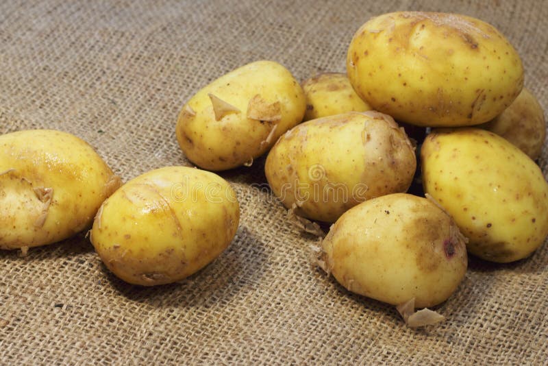 New potatoes stock image. Image of product, food, village - 55383695