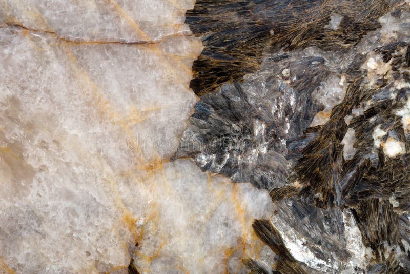 New Quartzite Background for Your Adorable Interior in Light Colors ...