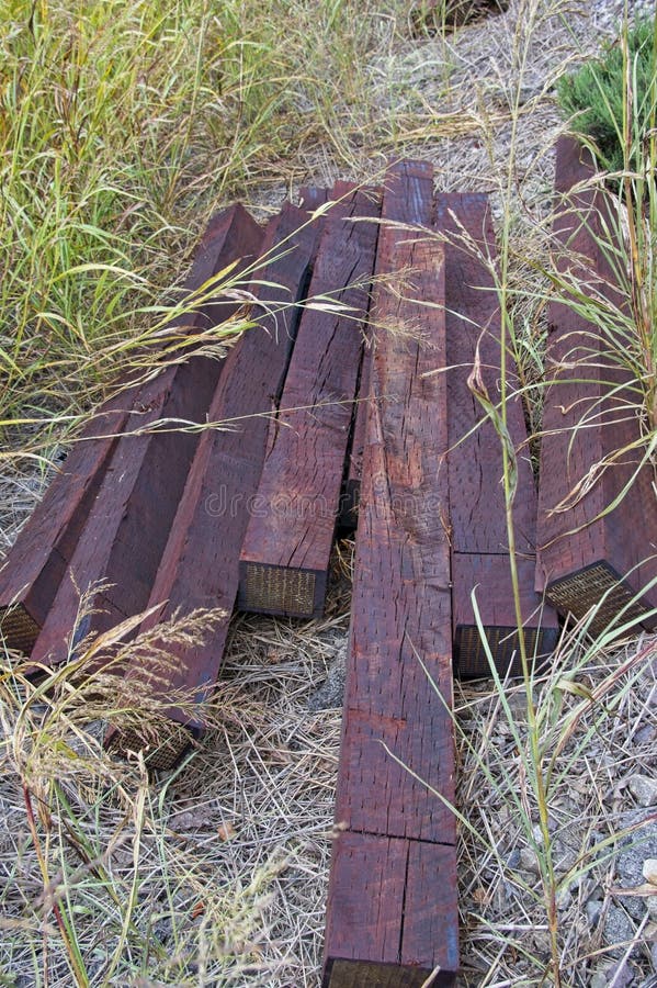 Railroad Ties and Timbers in Tall Grass Stock Photo - Image of ...