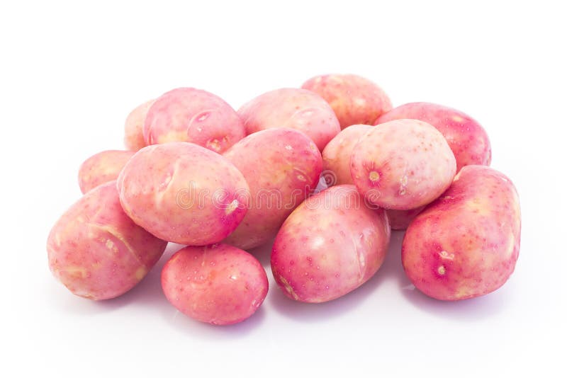 New Red Potato Isolated on White Stock Photo - Image of nature, eating ...