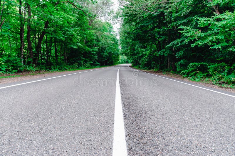New Road in the Forest without Cars Stock Photo - Image of outdoor ...