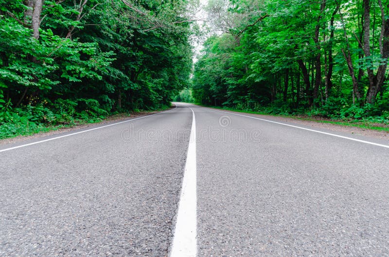 New Road in the Forest without Cars Stock Photo - Image of climate ...