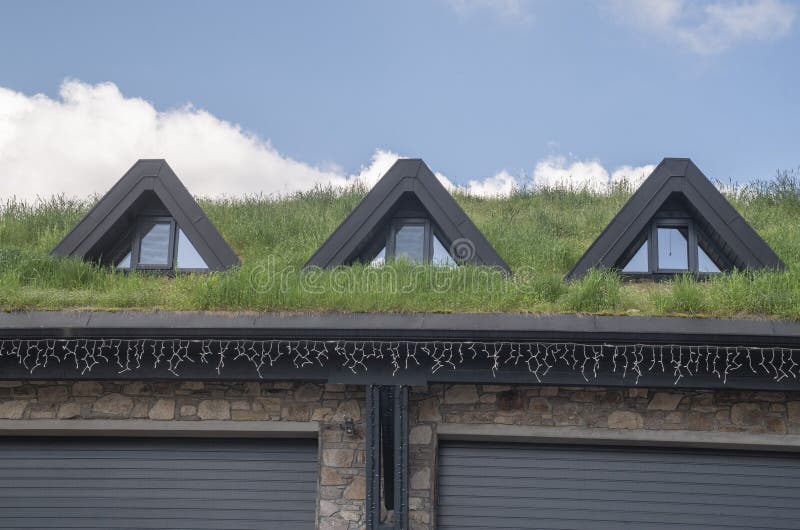 New Roof with Grass and Triangular Windows Stock Image - Image of ...