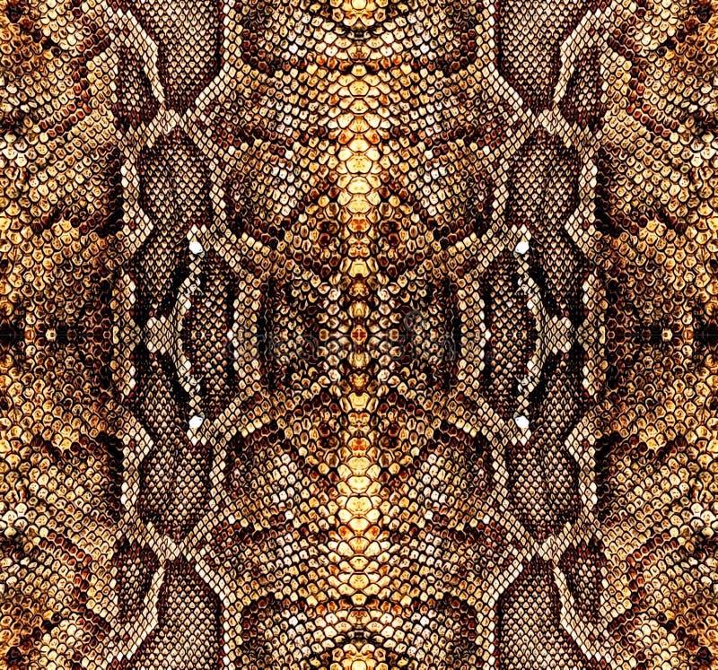 Trendy Snake Skin Pattern Background Snake Skin Stock Photo - Image of ...