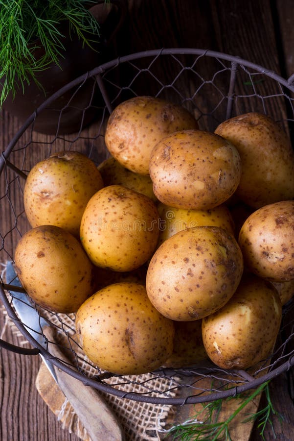 New small potatoes stock photo. Image of food, nature - 98259320