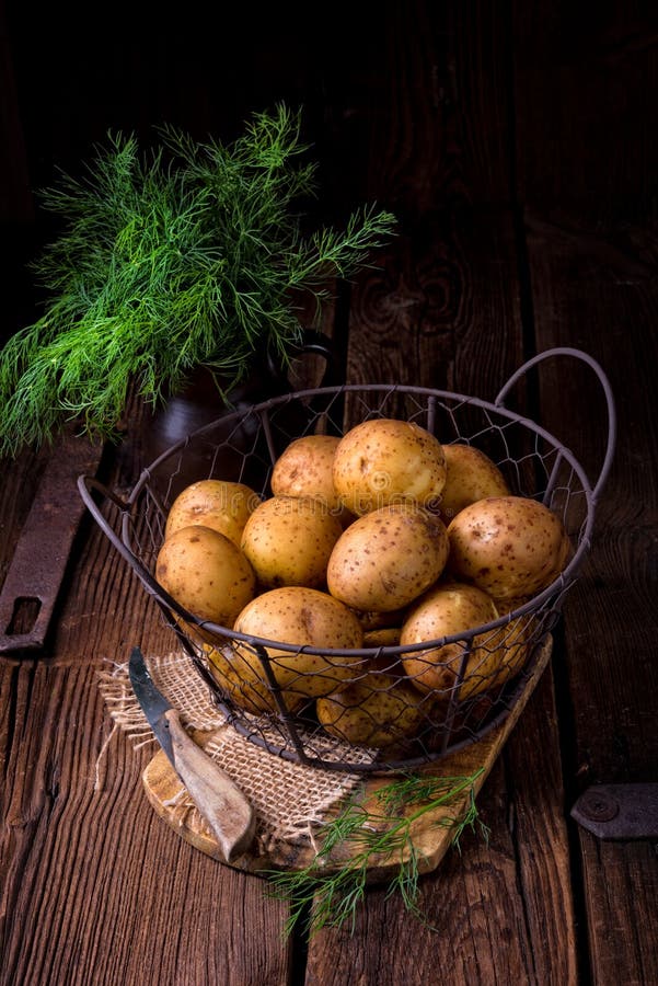New small potatoes stock image. Image of harvest, nature - 95558455